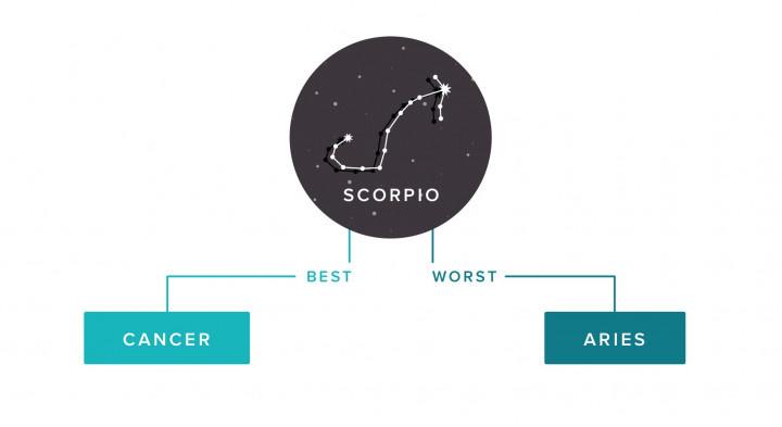 Your Zodiac Sign's Compatibility for Marriage