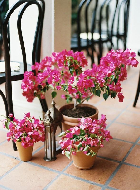 Potted Plants: The Greenery Wedding Decor Trend That's Totally Unexpected