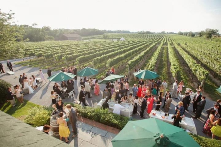 9 Long Island Vineyard Wedding Venues for Wine-Filled Celebrations