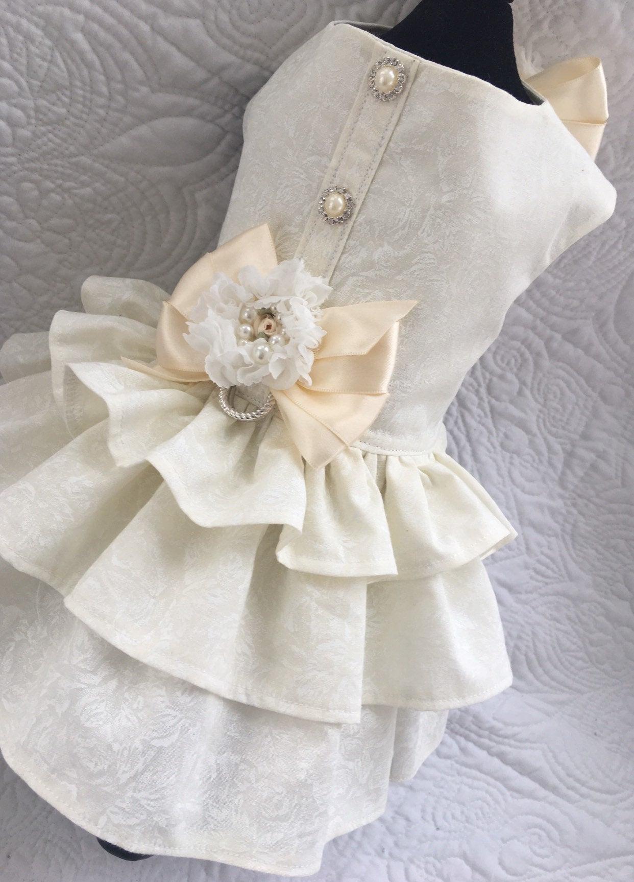 The Cutest Dog Wedding Attire for Your Furry BFF