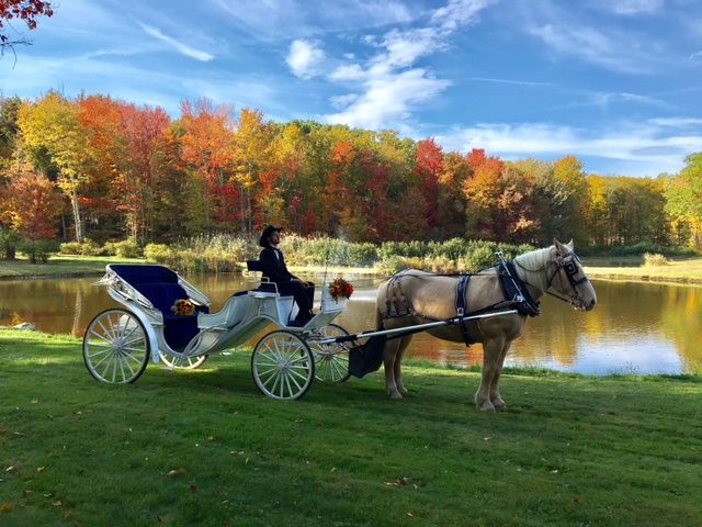 Wood Acres Farm - Venue - Terryville, CT - WeddingWire