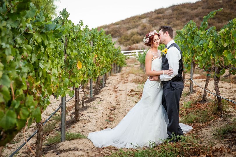 Lily & Lime - Photography - Phoenix, AZ - WeddingWire