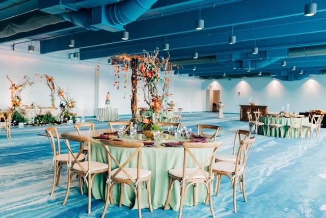 Clearwater Marine Aquarium - Venue - Clearwater Beach, FL - WeddingWire