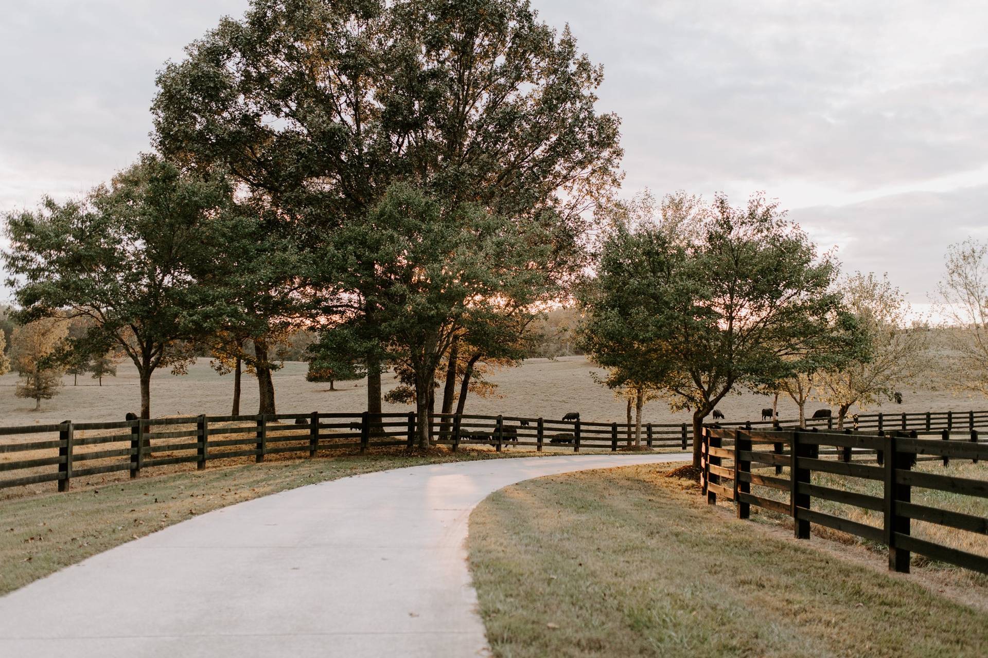 The Walters Barn - Reviews, Photos & Deals 2026 - Lula, GA - WeddingWire