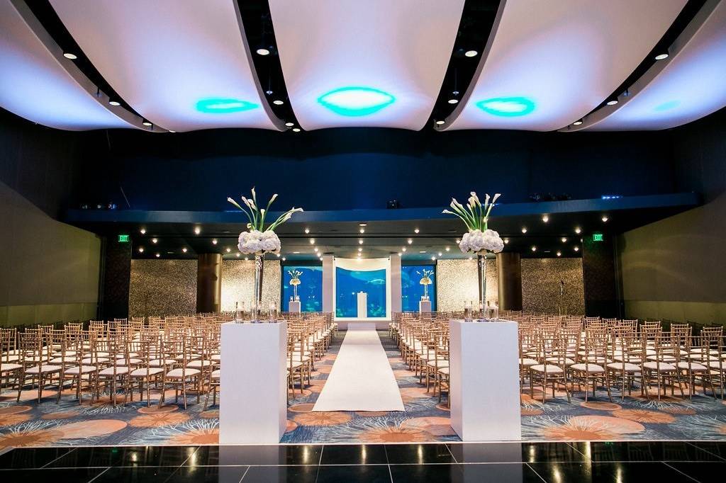 Georgia Aquarium - Reviews, Photos & Deals 2026 - Atlanta, GA - WeddingWire