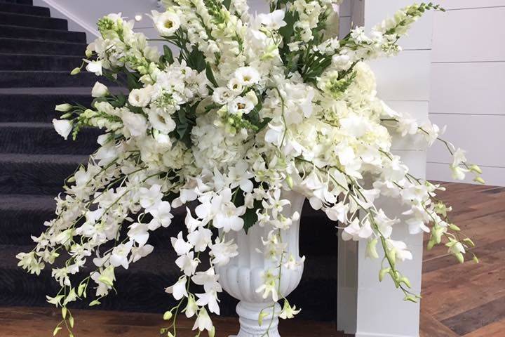 Calluna Fine Flowers and Gifts - Reviews, Photos & Deals 2026 ...