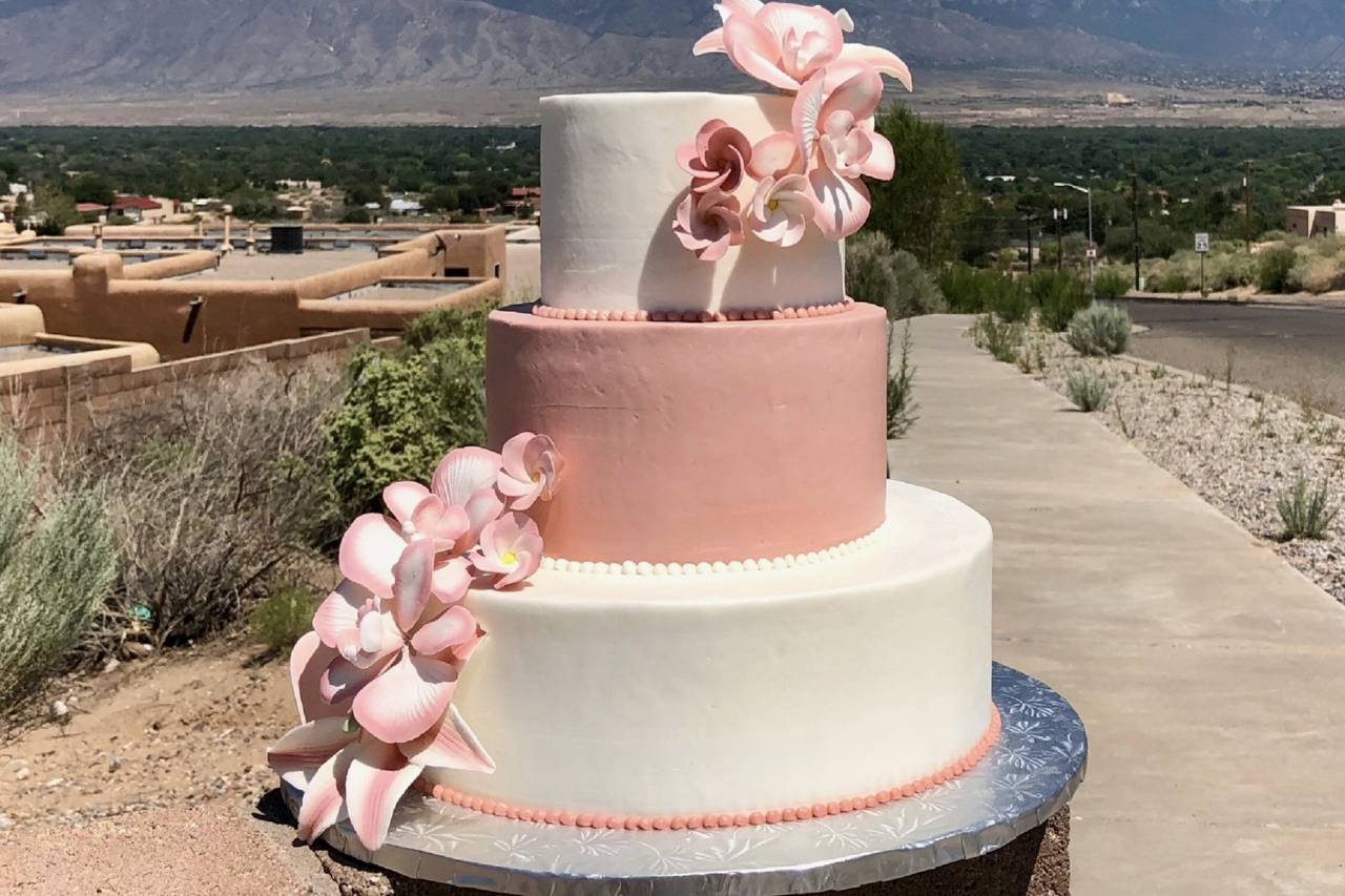 ABC Cake Shop and Bakery Reviews - Albuquerque, NM - 104 Reviews