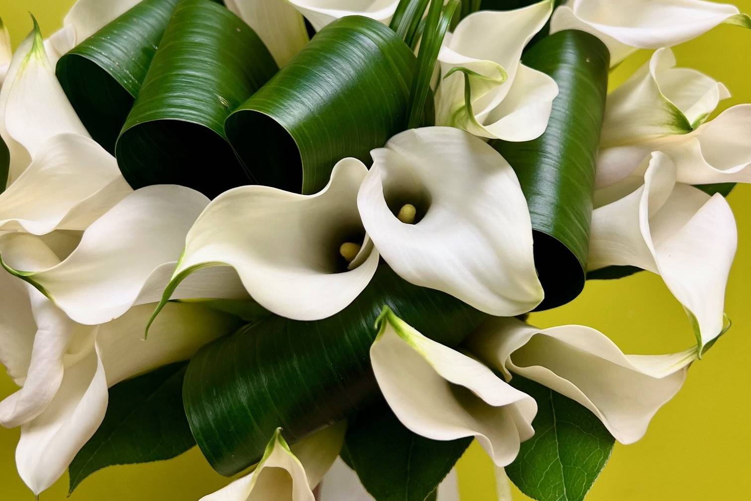 Flor Bella Designs - Reviews, Photos & Deals 2026 - Mahwah, NJ ...