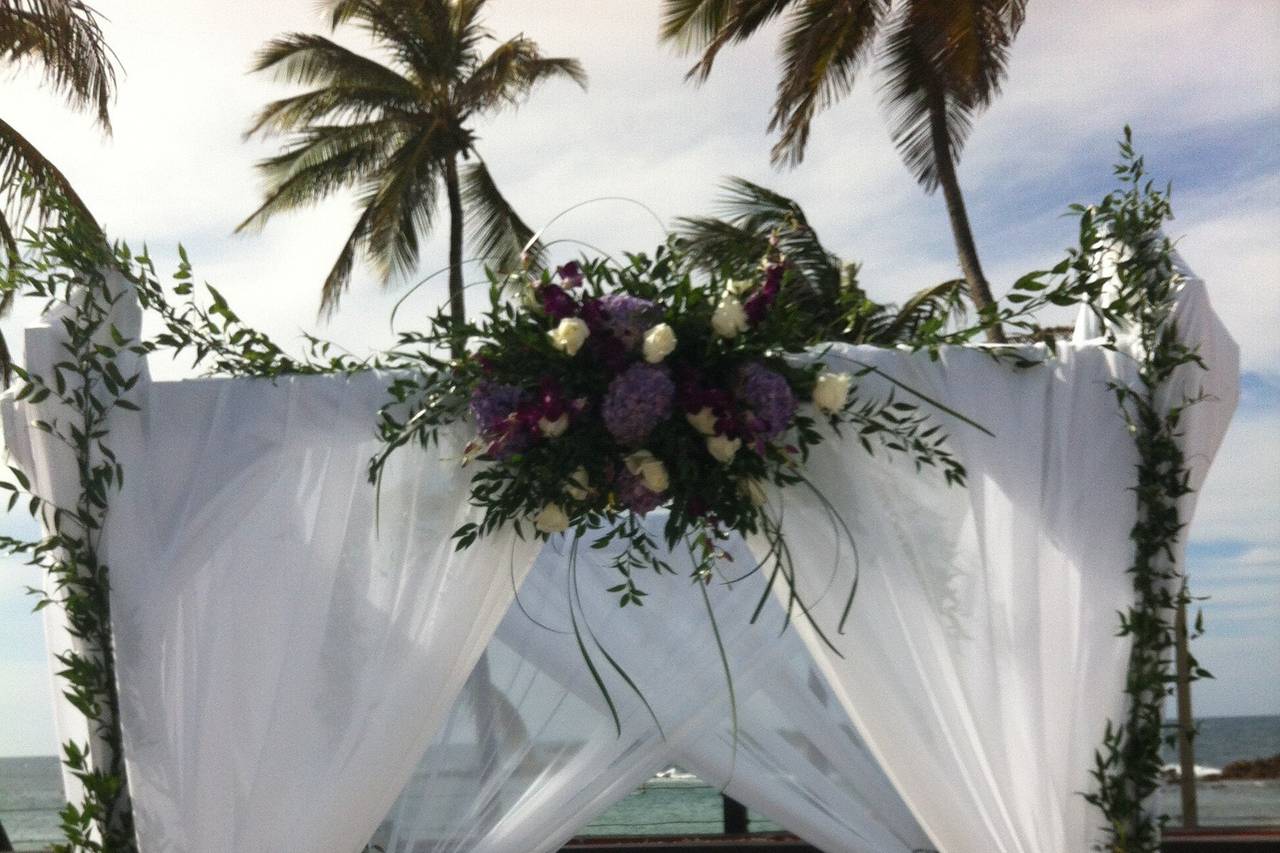 Kute Gifts & Flowers - Reviews, Photos & Deals 2026 - San Juan, PR ...