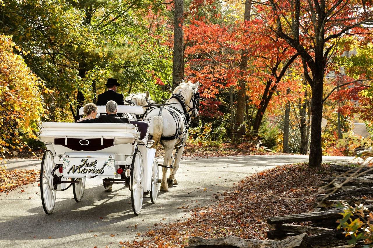 Forrest Hills Mountain Resort - Reviews, Photos & Deals 2026 ...
