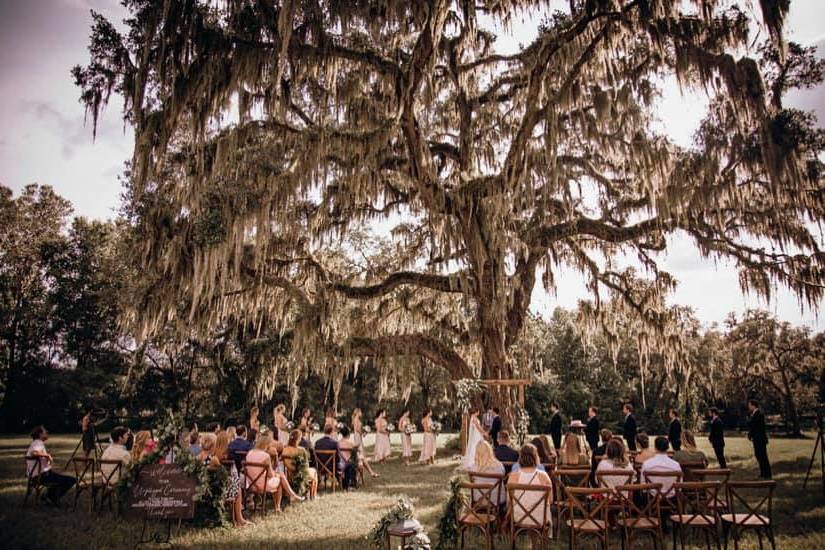 Protea Weddings and Events - Reviews, Photos & Deals 2026 - Ocala, FL ...