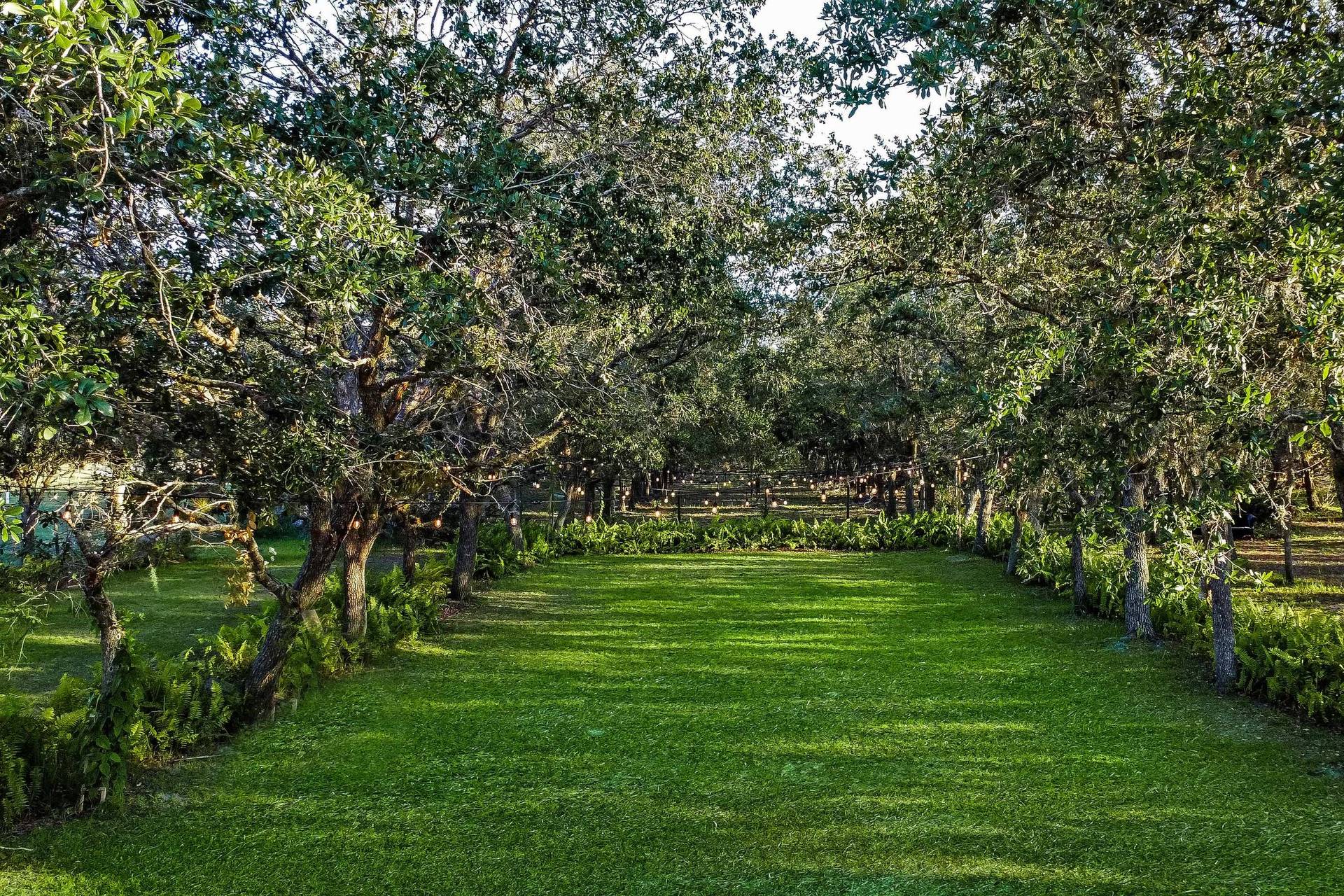 A Line Ranch - Barn & Farm Weddings - North Fort Myers, FL - WeddingWire