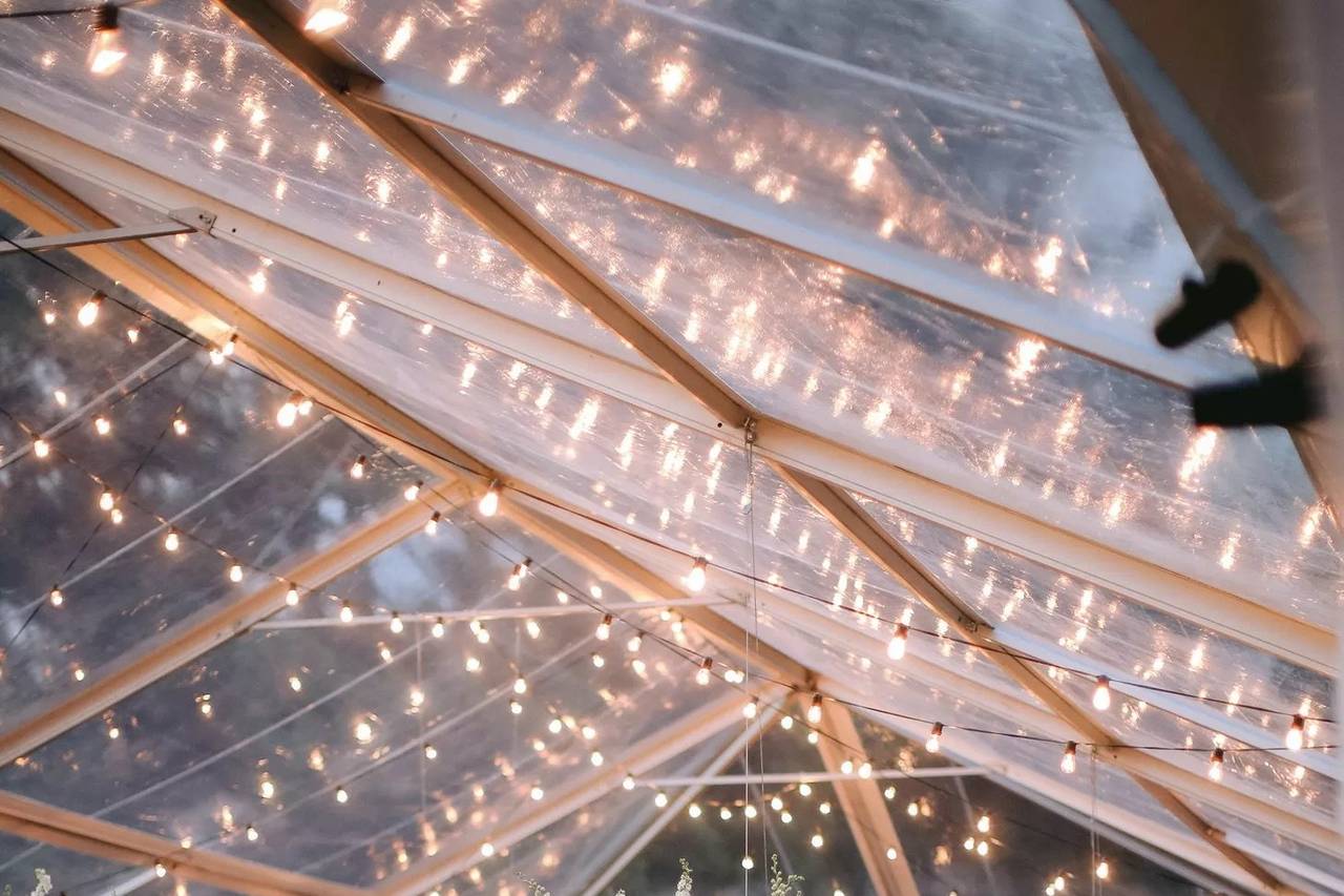 Noel Christmas/Wedding Light Professional, Inc. - Reviews, Photos ...