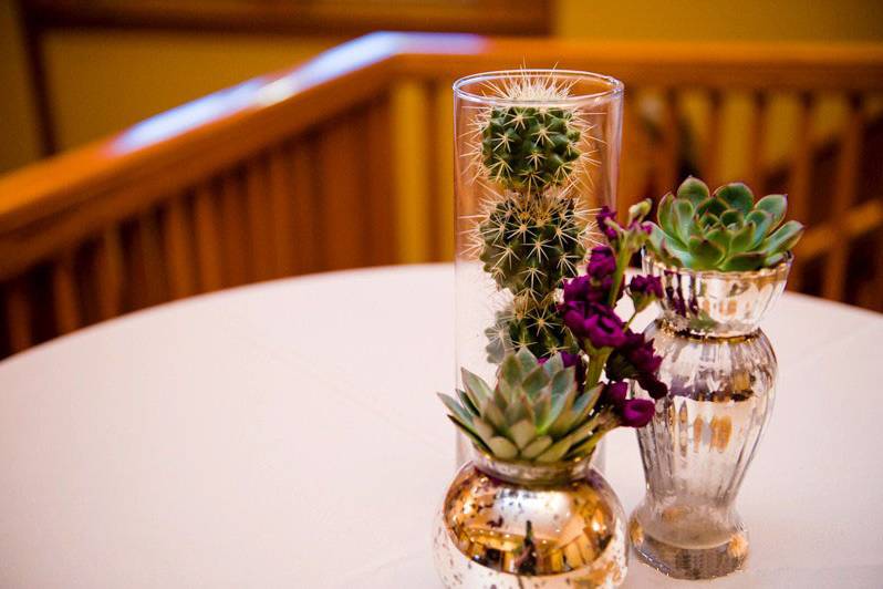 Old Main at ASU - Reviews, Photos & Deals 2026 - Tempe, AZ - WeddingWire