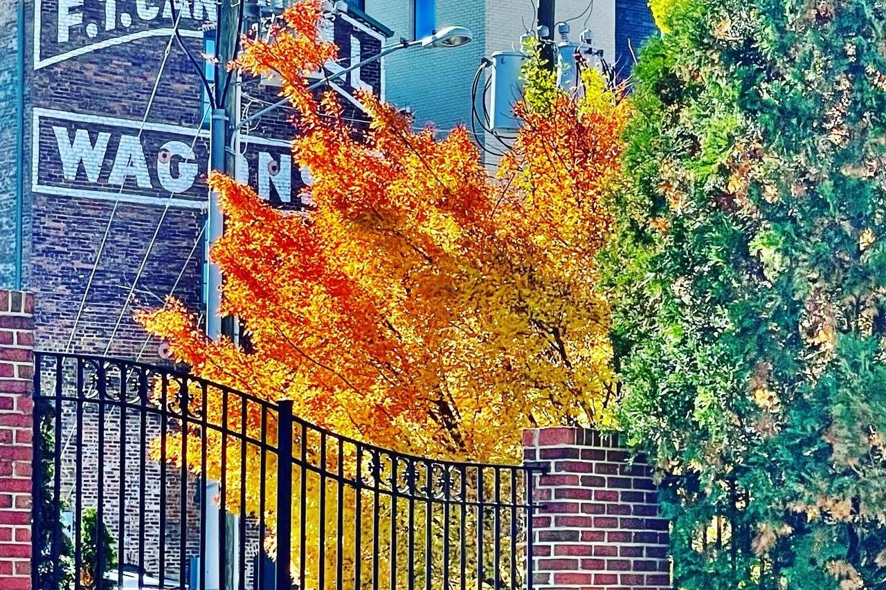 Indigo Hall - Reviews, Photos & Deals 2026 - Spartanburg, SC - WeddingWire
