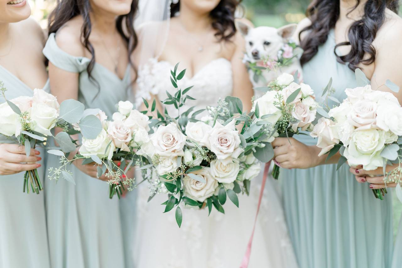 Angela Mallett Photography - Reviews, Photos & Deals 2026 - Miami, FL ...
