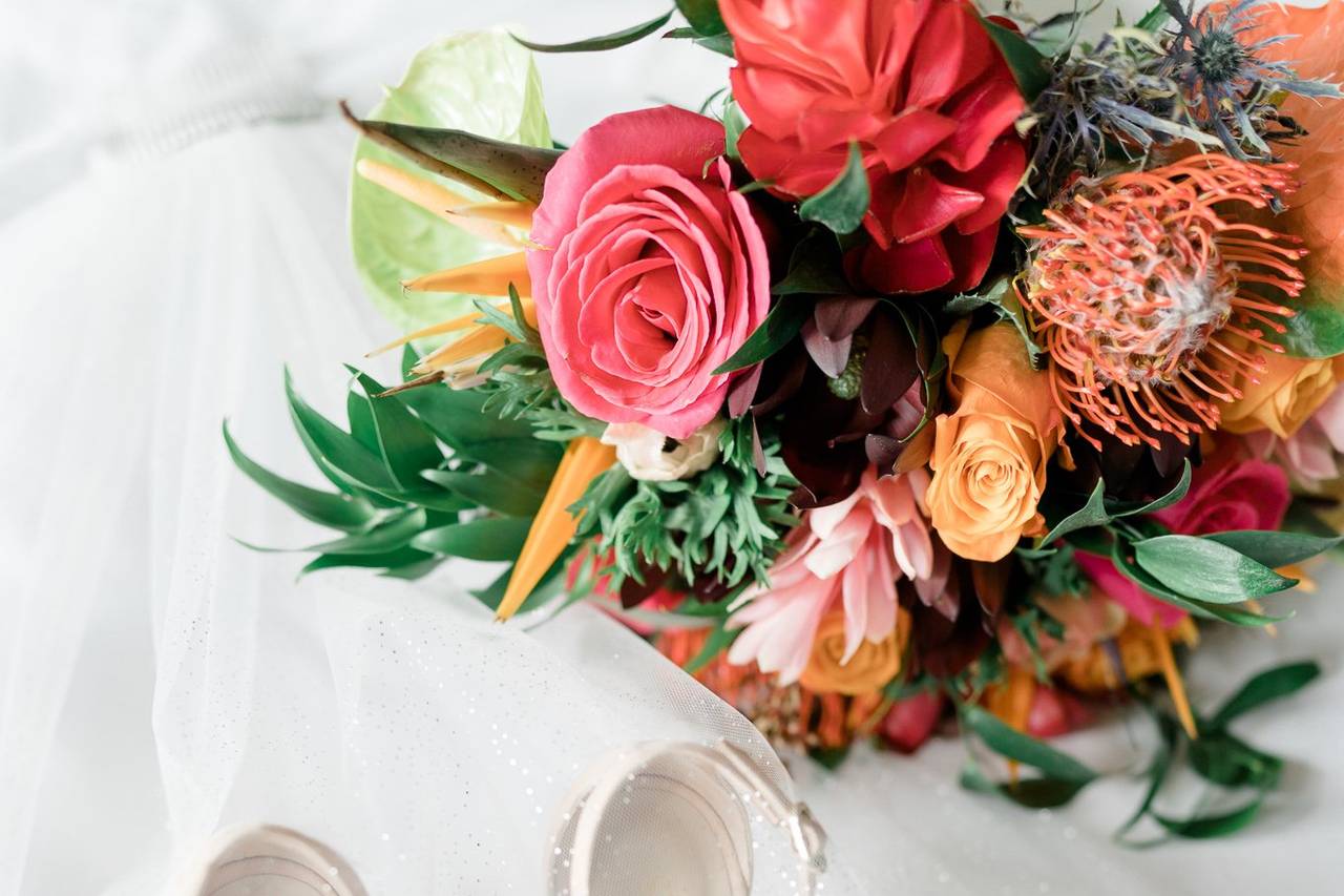 Angela Mallett Photography - Reviews, Photos & Deals 2026 - Miami, FL ...