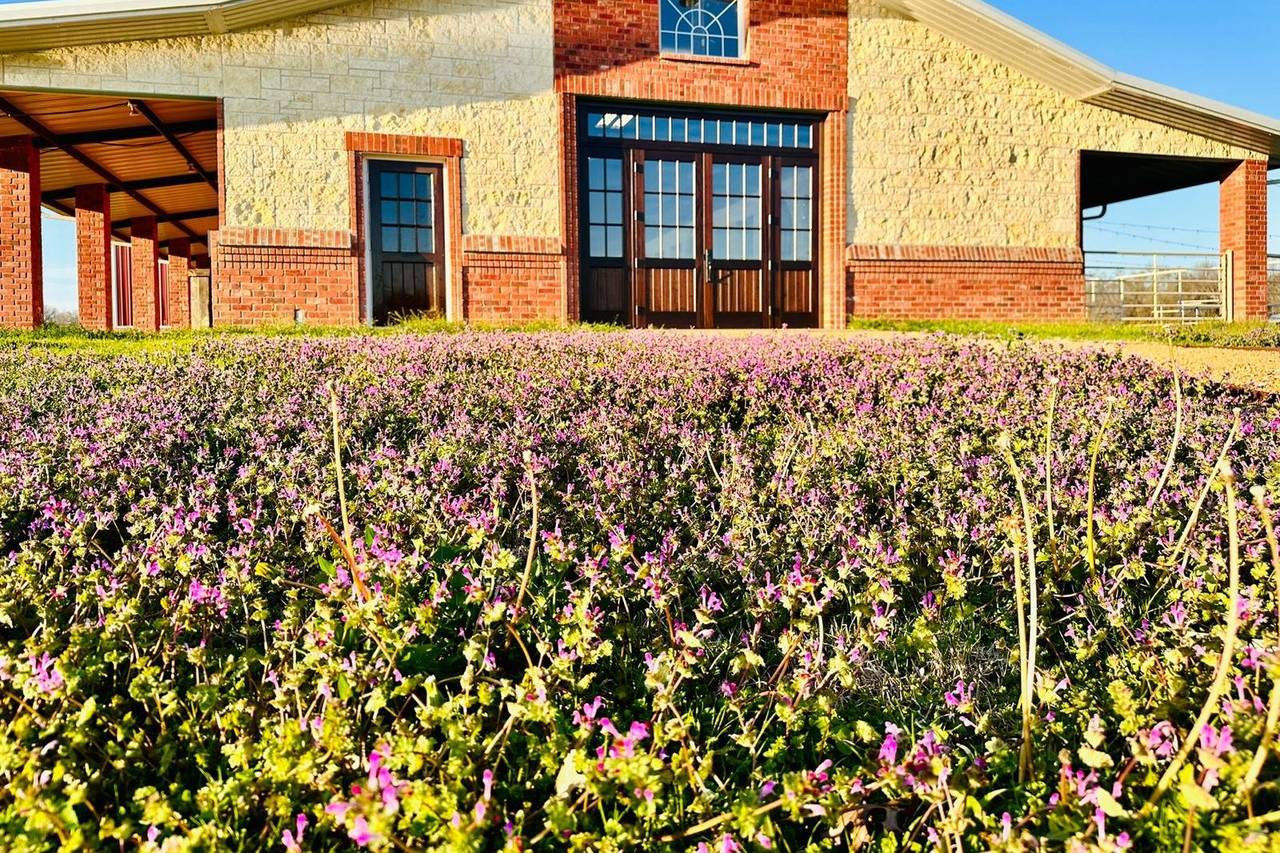 Videos from The Dream Ranch