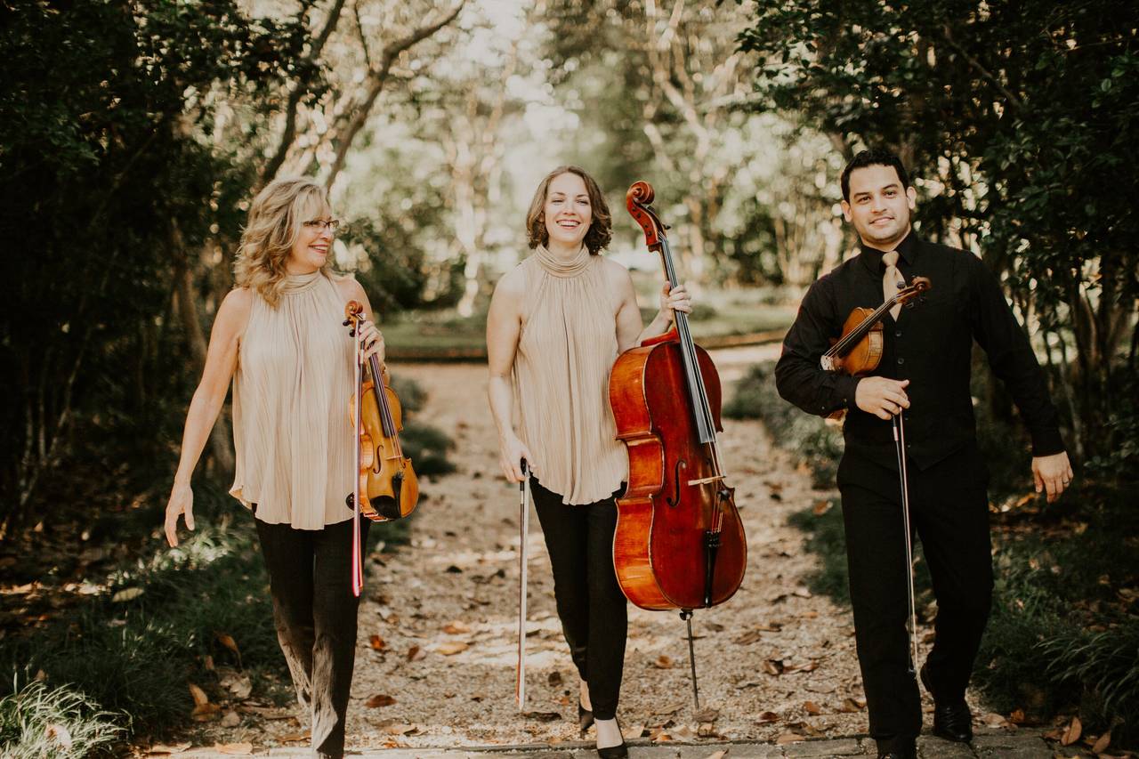 Browse Wedding Musician & Ceremony Music Near You - WeddingWire