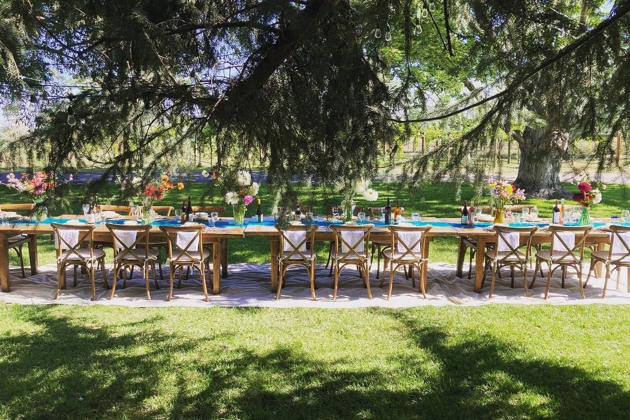 Avalon Arbor Vineyard and Event Venue - Reviews, Photos & Deals 2026 ...