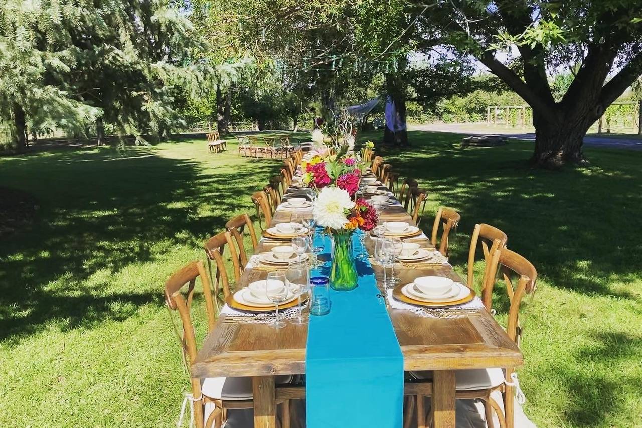 Avalon Arbor Vineyard and Event Venue - Reviews, Photos & Deals 2026 ...