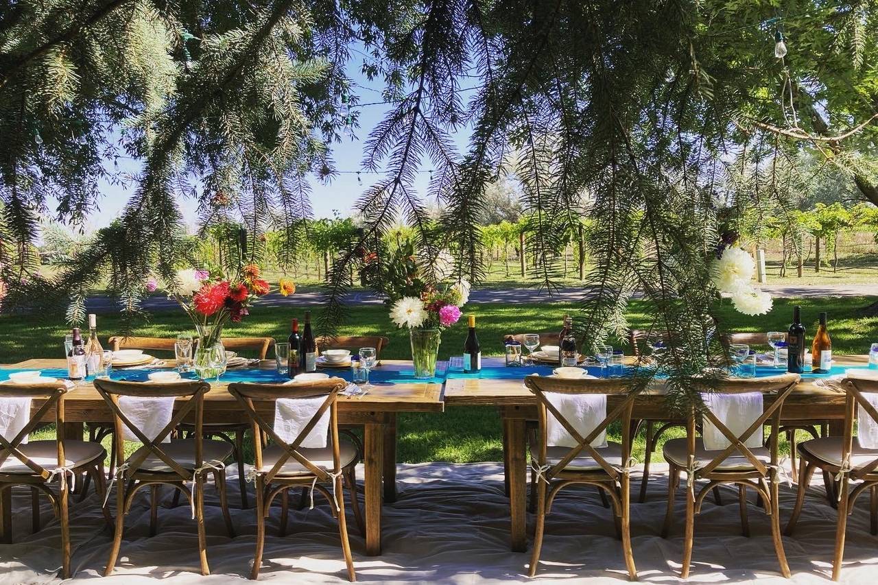 Avalon Arbor Vineyard and Event Venue - Reviews, Photos & Deals 2026 ...