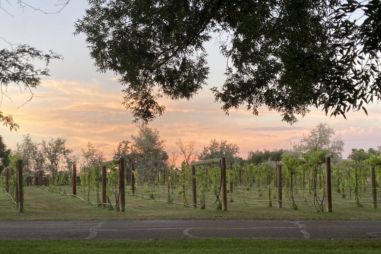 Avalon Arbor Vineyard and Event Venue - Reviews, Photos & Deals 2026 ...