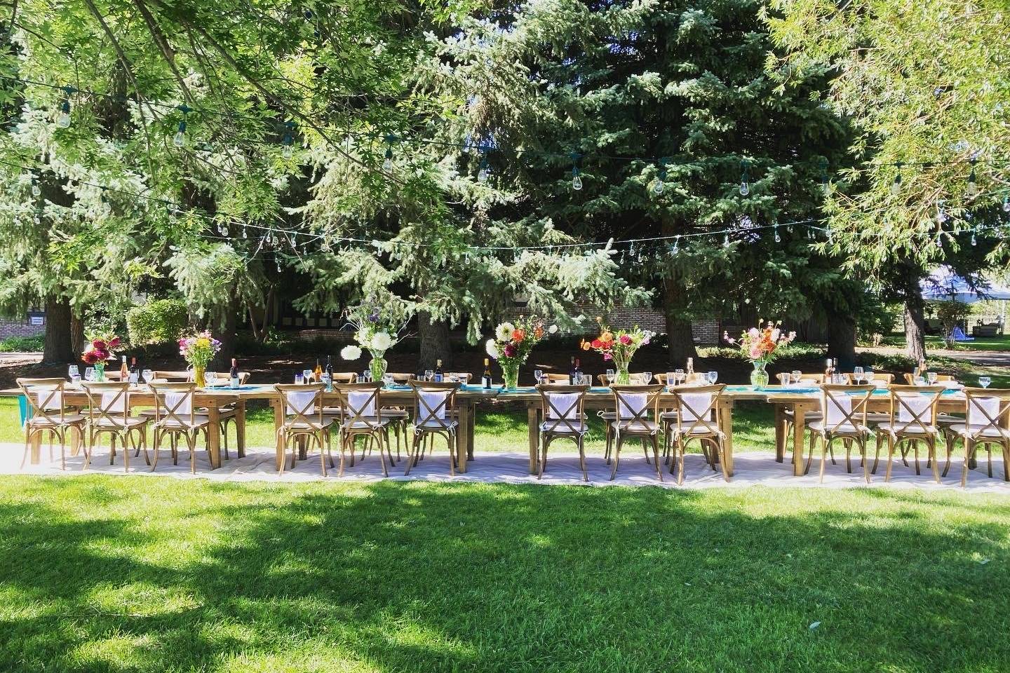 Avalon Arbor Vineyard and Event Venue - Reviews, Photos & Deals 2026 ...