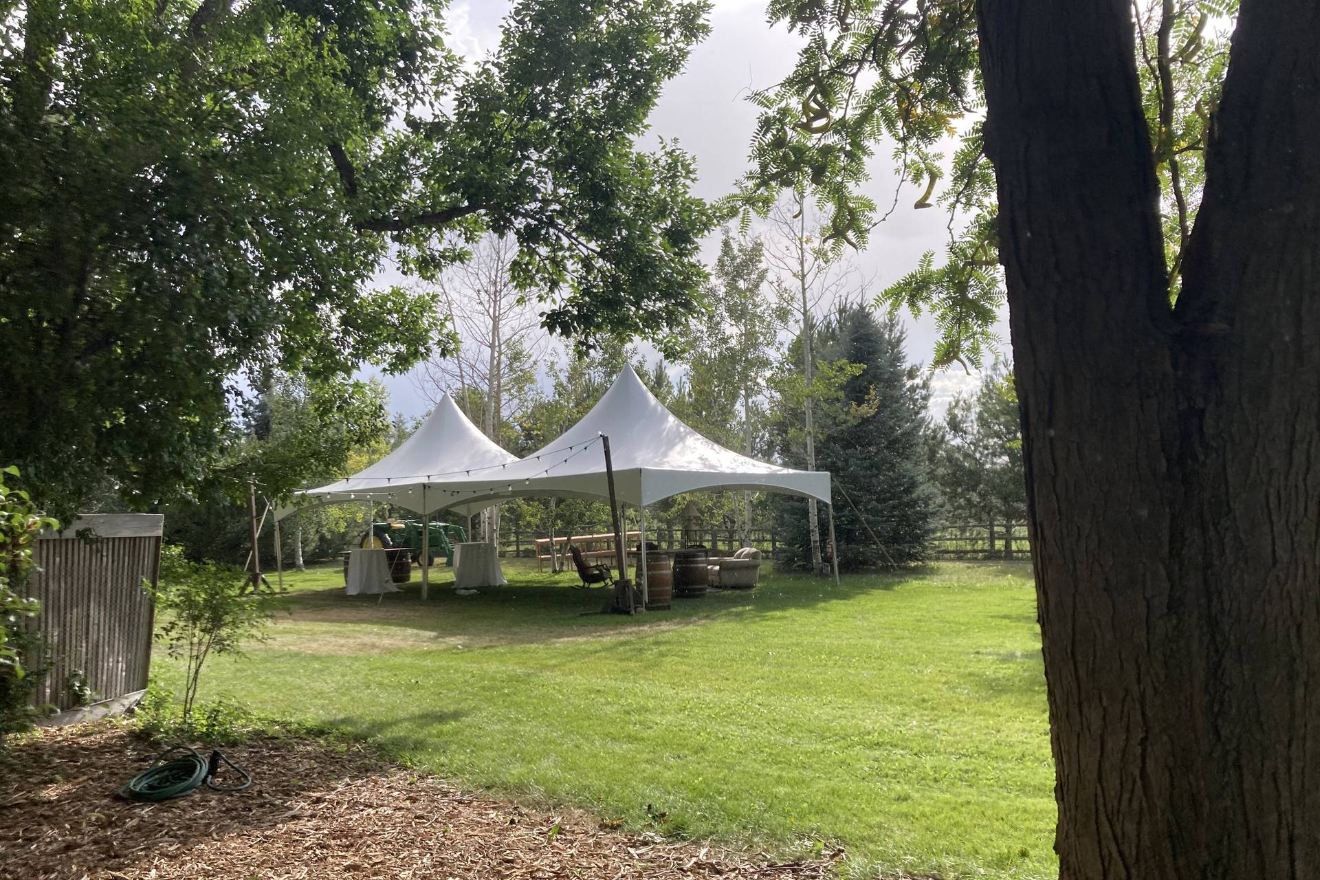 Avalon Arbor Vineyard and Event Venue - Reviews, Photos & Deals 2026 ...