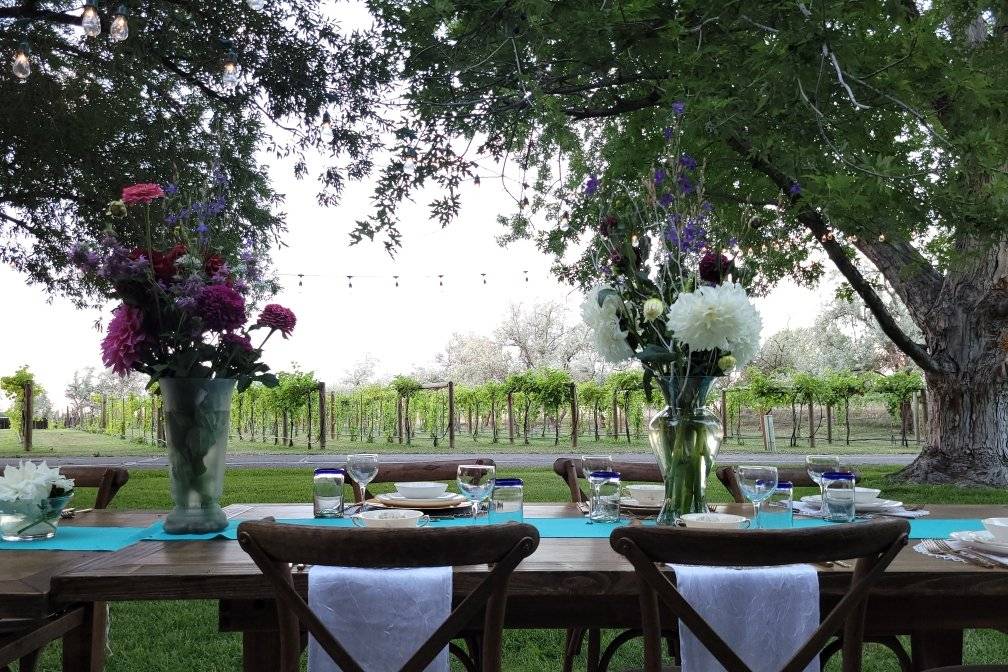 Avalon Arbor Vineyard and Event Venue - Reviews, Photos & Deals 2026 ...