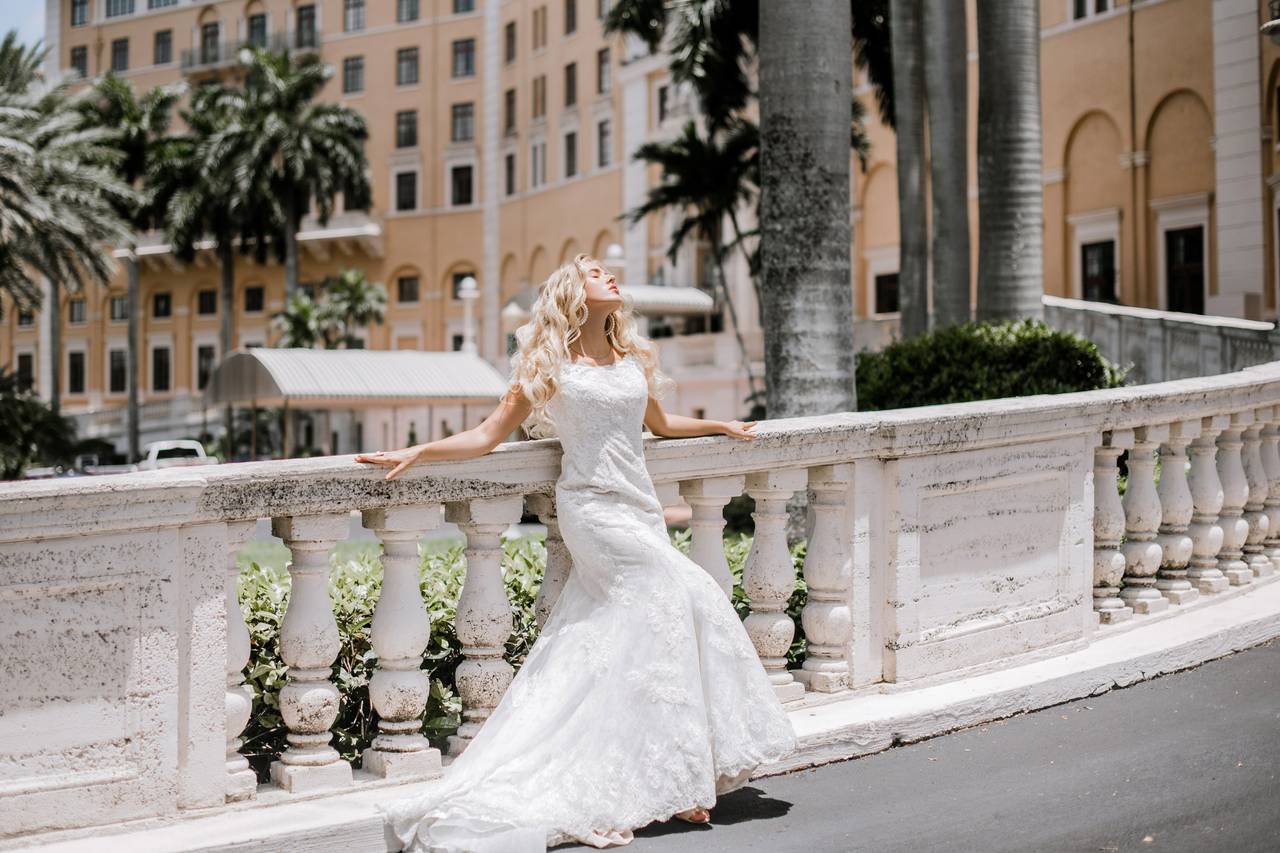 Arcadia Pictures - Wedding Videographers - Arlington, VA - WeddingWire
