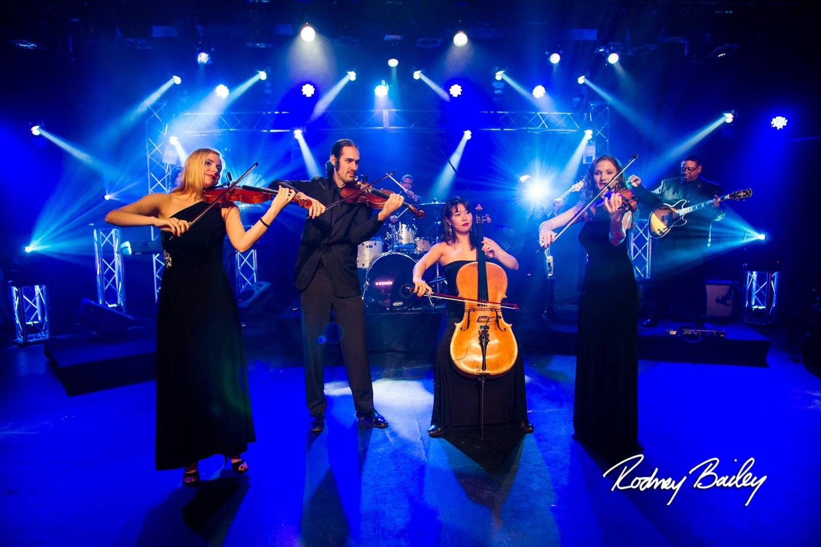 Bialek's Music - Reviews, Photos & Deals 2026 - Rockville, MD - WeddingWire