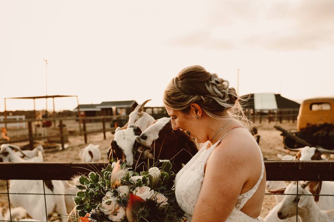 Swank Farms - Reviews, Photos & Deals 2026 - Hollister, CA - WeddingWire