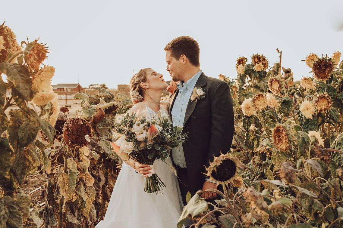 Swank Farms - Reviews, Photos & Deals 2026 - Hollister, CA - WeddingWire