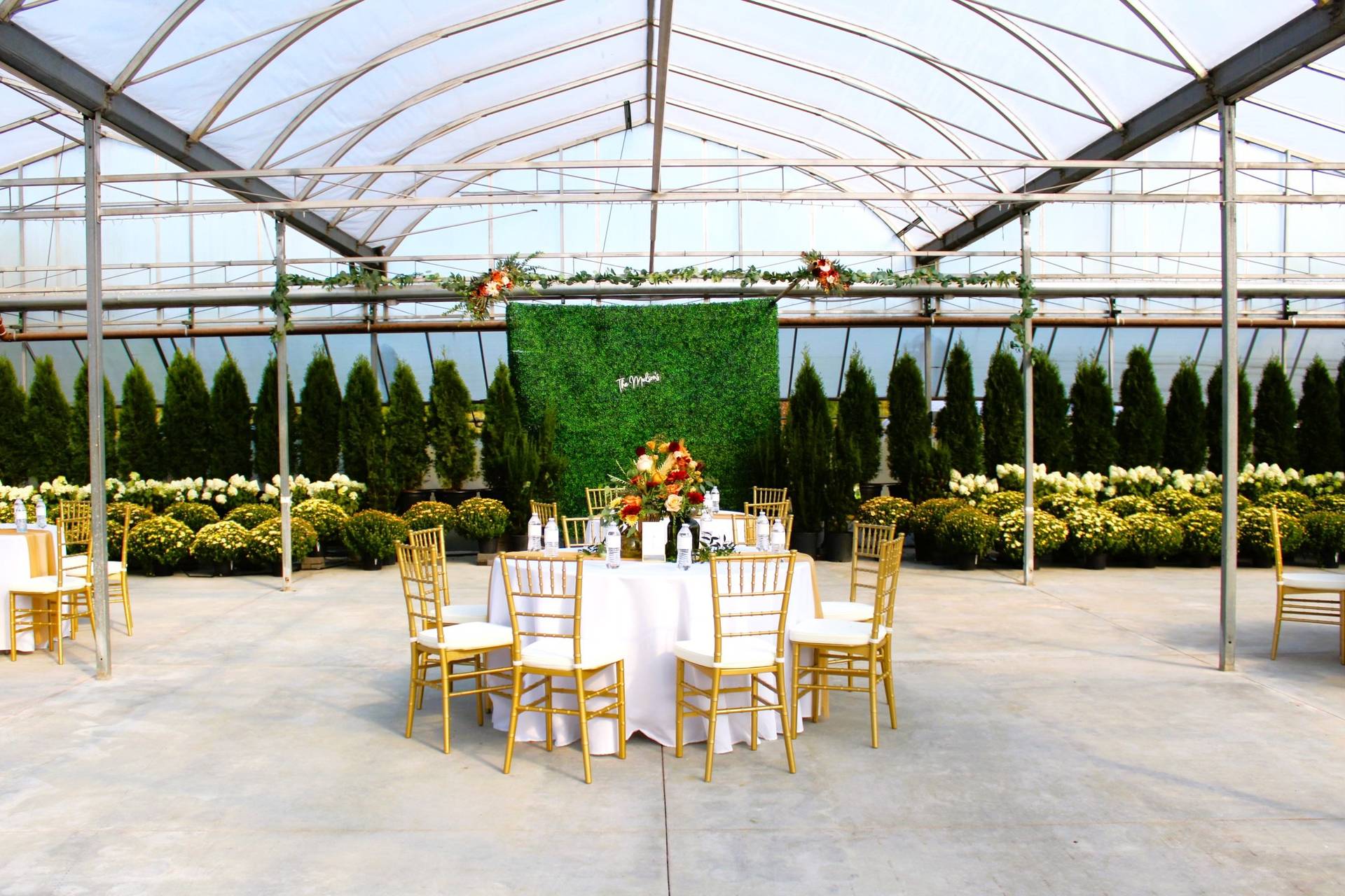 Northwoods Michigan Events - Barn & Farm Weddings - Tawas City, MI ...