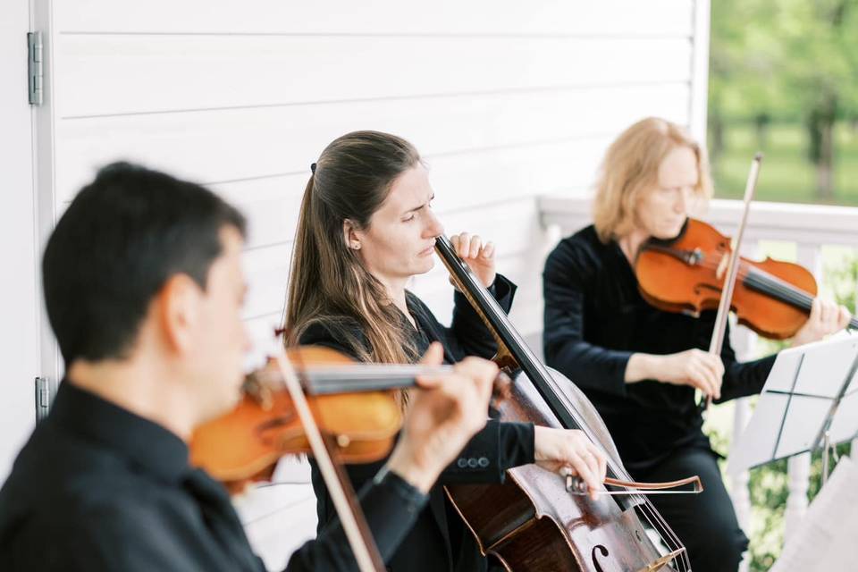 The Cahaba Creek String Quartet - Wedding Musicians - Birmingham, AL ...