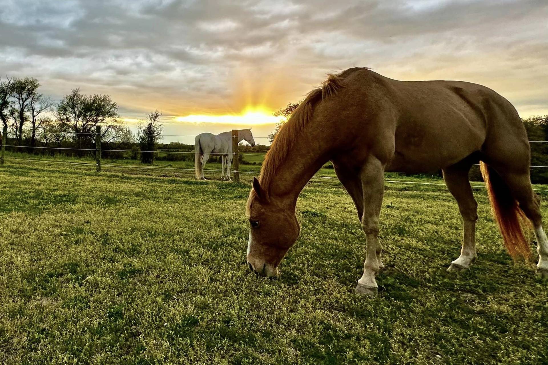 The Pastures at Fertile Green Farms - Reviews, Photos & Deals 2026 ...