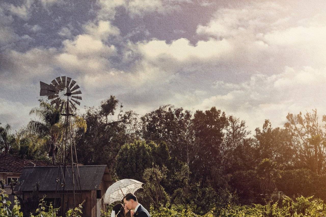 Holly Ireland Photography Reviews - Carlsbad, CA - 57 Reviews