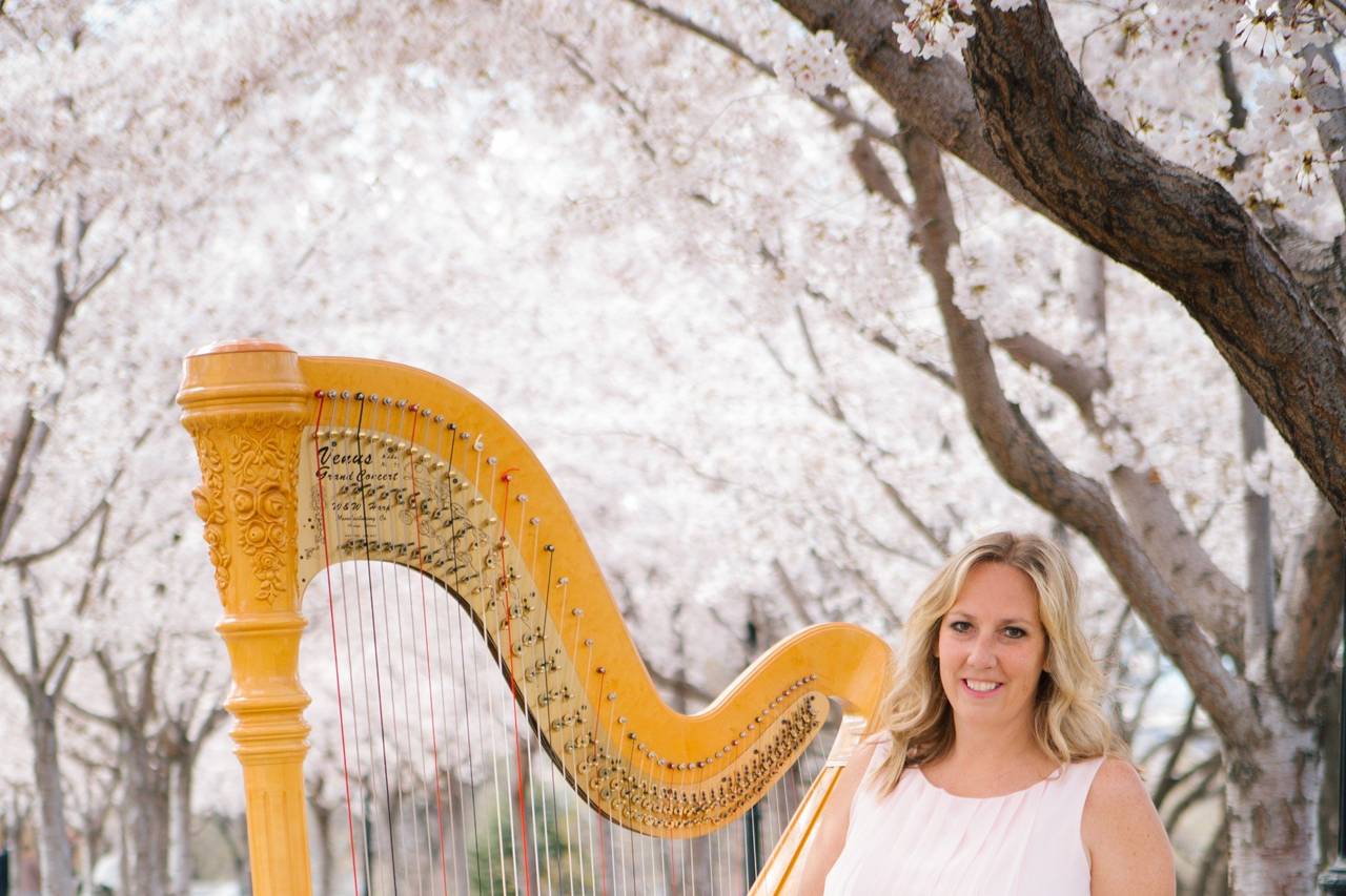 Monica Smith - Harpist Reviews - Sandy, UT - 38 Reviews