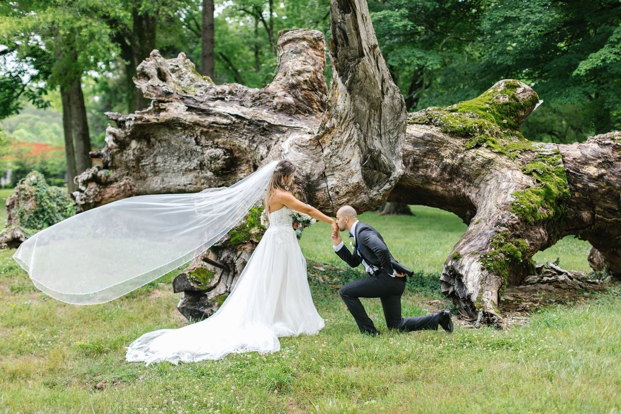 The Tate House - Reviews, Photos & Deals 2026 - Tate, GA - WeddingWire