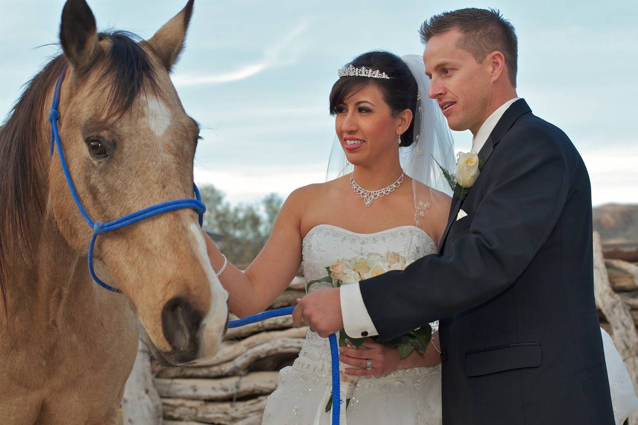 Silhouette Photography in Tucson - Photography - Tucson, AZ - WeddingWire