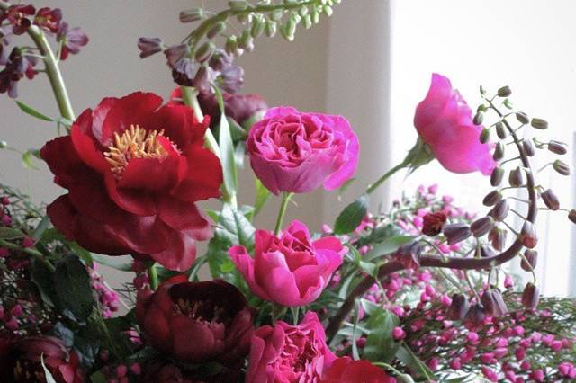 Sachi Rose - Reviews, Photos & Deals 2026 - Brooklyn, NY - WeddingWire