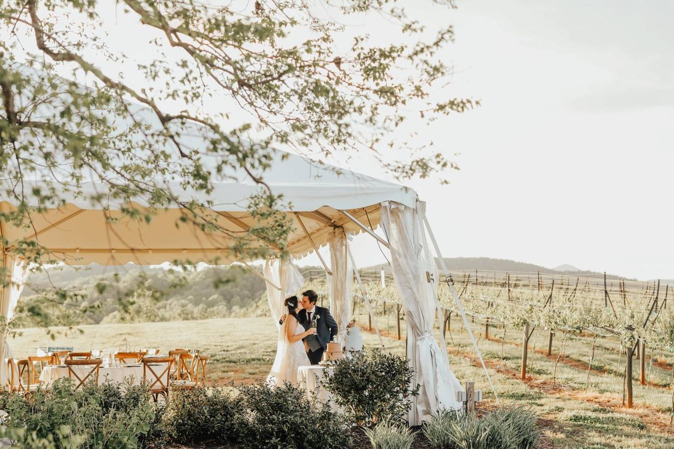Kaya Vineyard & Winery - Venue - Dahlonega, GA - WeddingWire
