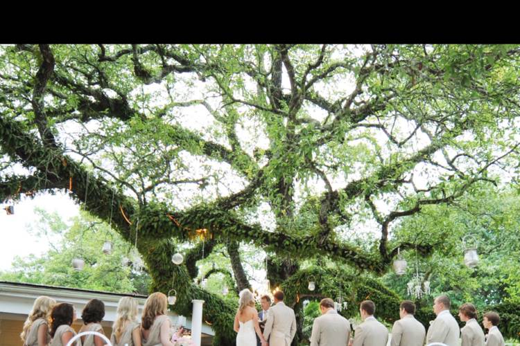 Ormond Manor - Reviews, Photos & Deals 2026 - Destrehan, LA - WeddingWire