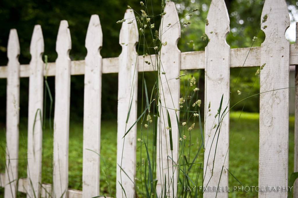 Jay Farrell Photography - Reviews, Photos & Deals 2026 - Nashville, TN ...