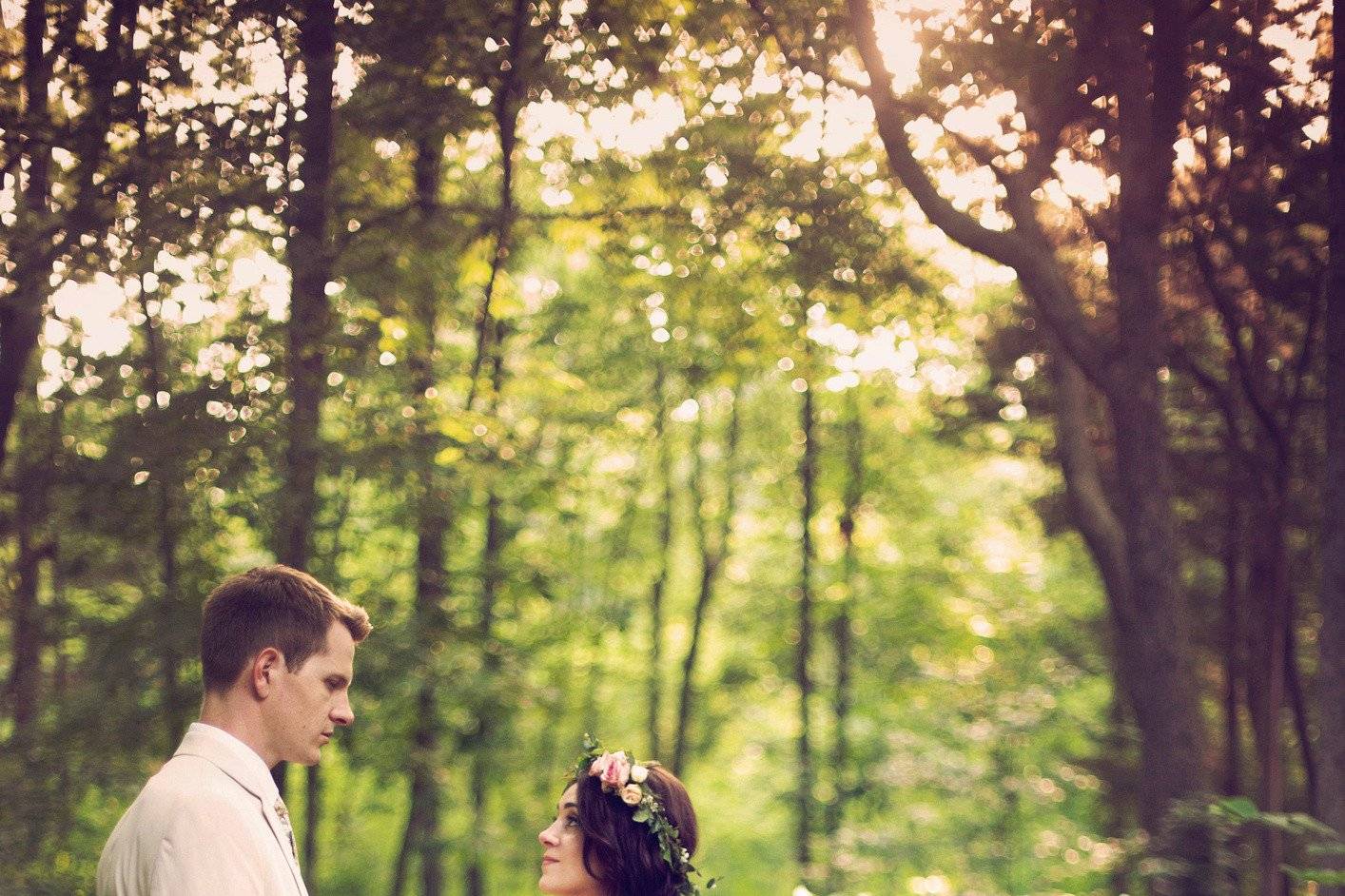 Enchanted Florist - Reviews, Photos & Deals 2026 - Nashville, TN ...