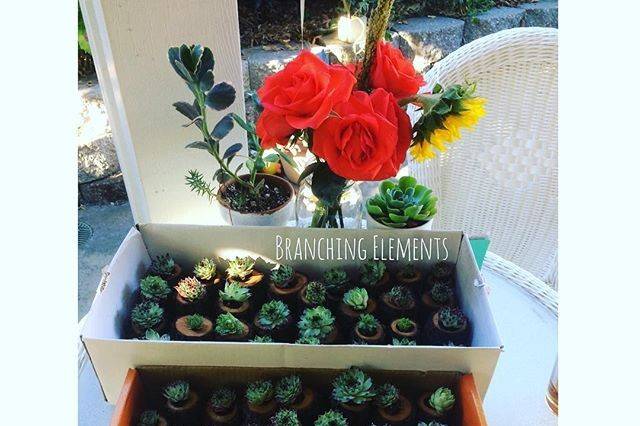 Branching Elements - Reviews, Photos & Deals 2026 - Roseville, CA ...
