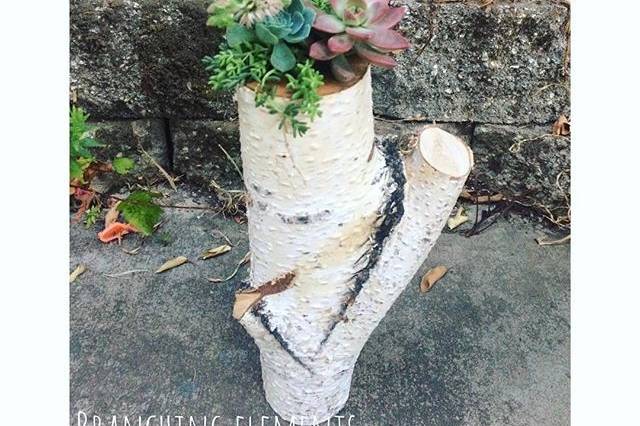 Branching Elements - Reviews, Photos & Deals 2026 - Roseville, CA ...