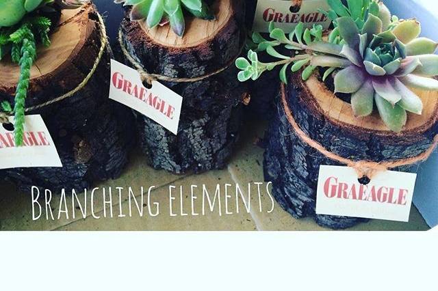 Branching Elements - Reviews, Photos & Deals 2026 - Roseville, CA ...