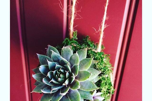 Branching Elements - Reviews, Photos & Deals 2026 - Roseville, CA ...